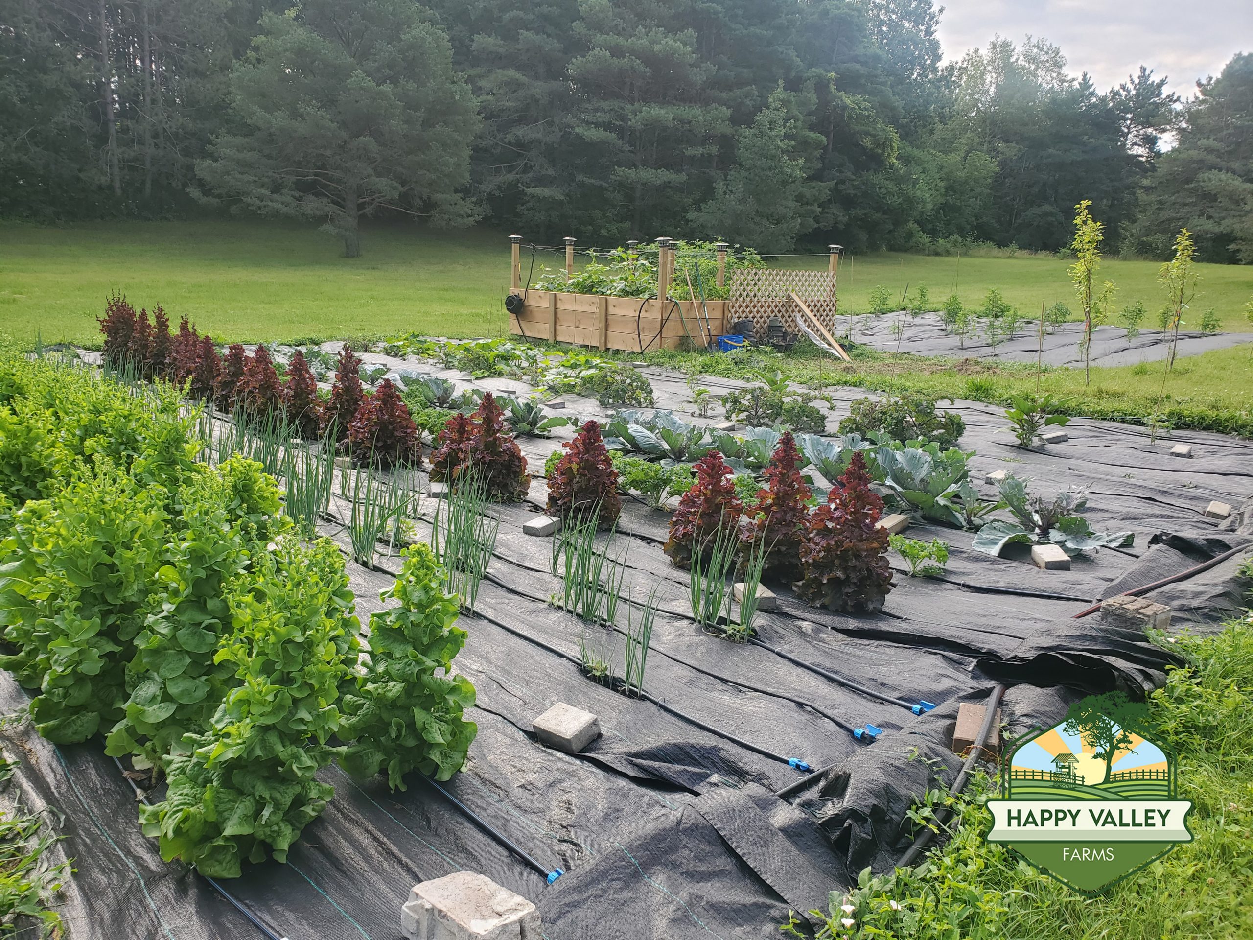 4 - Food Garden Design & Planning Service - HAPPY VALLEY Farms